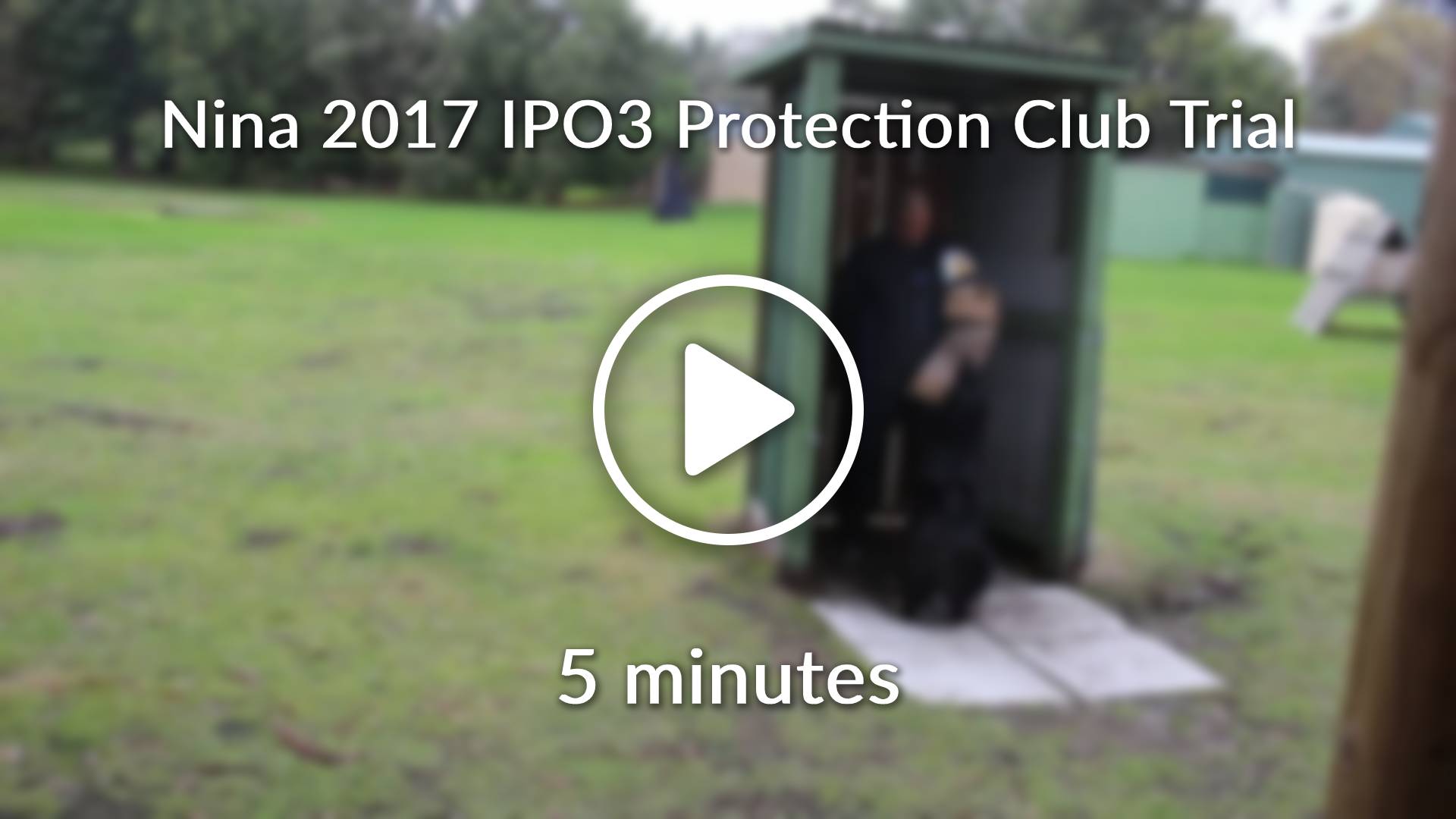 Effective Dog Training Videos | PK9 Online